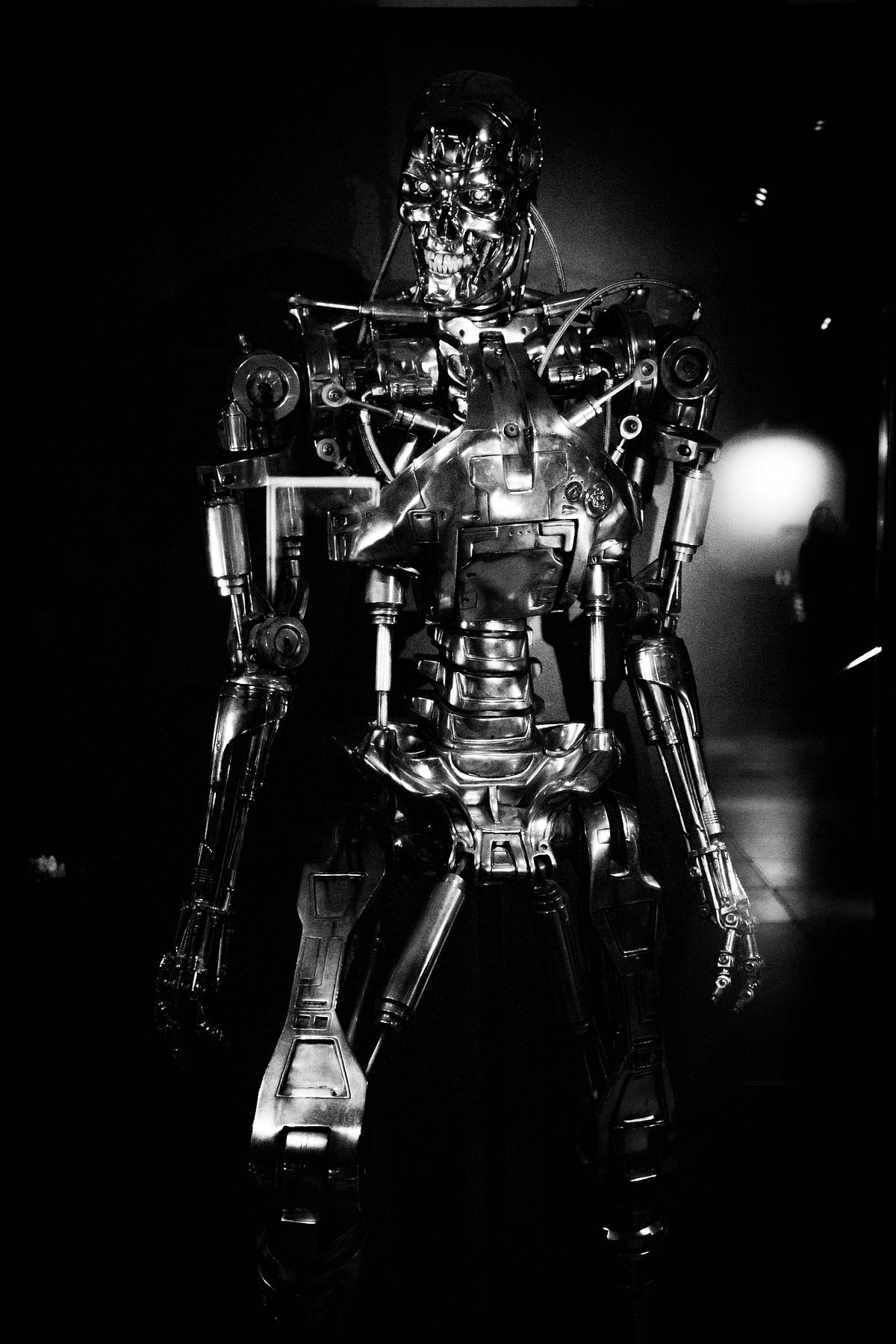 Terminator Is a Better Analogy for AI Risk Than You Think | by Hein de ...