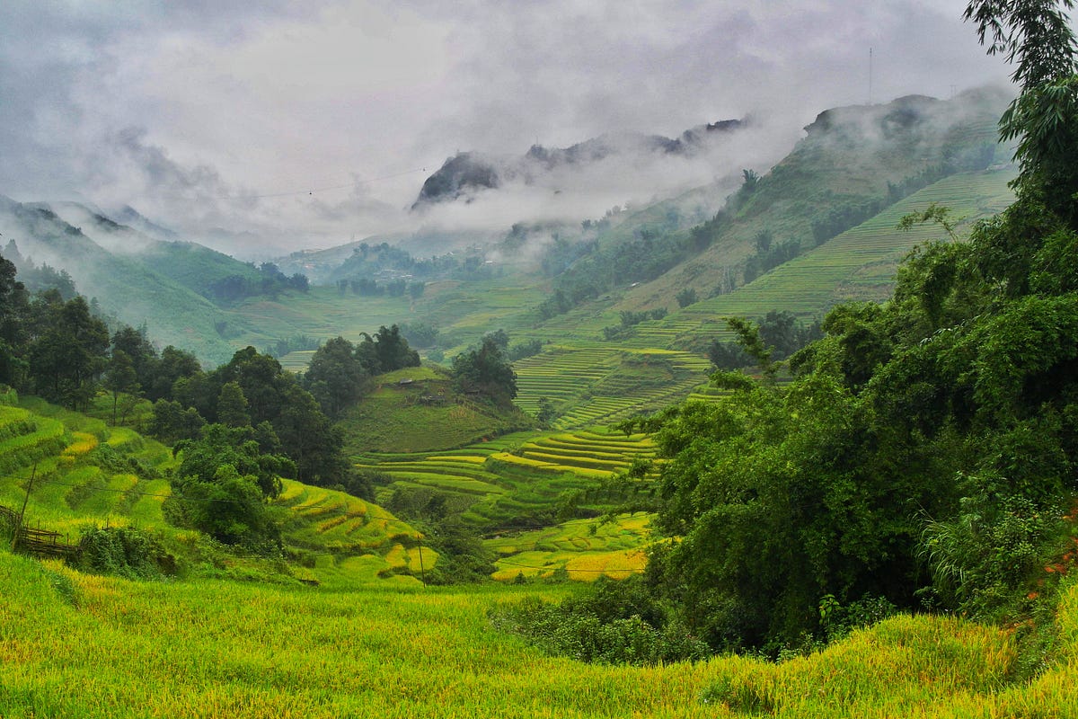 Vietnam: Trekking into the mist in Sapa | by Scott Lee | Medium