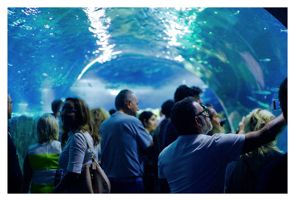 Tech “Shark Tank” at the Aquarium | by Benji Schwartz | Inside the ...