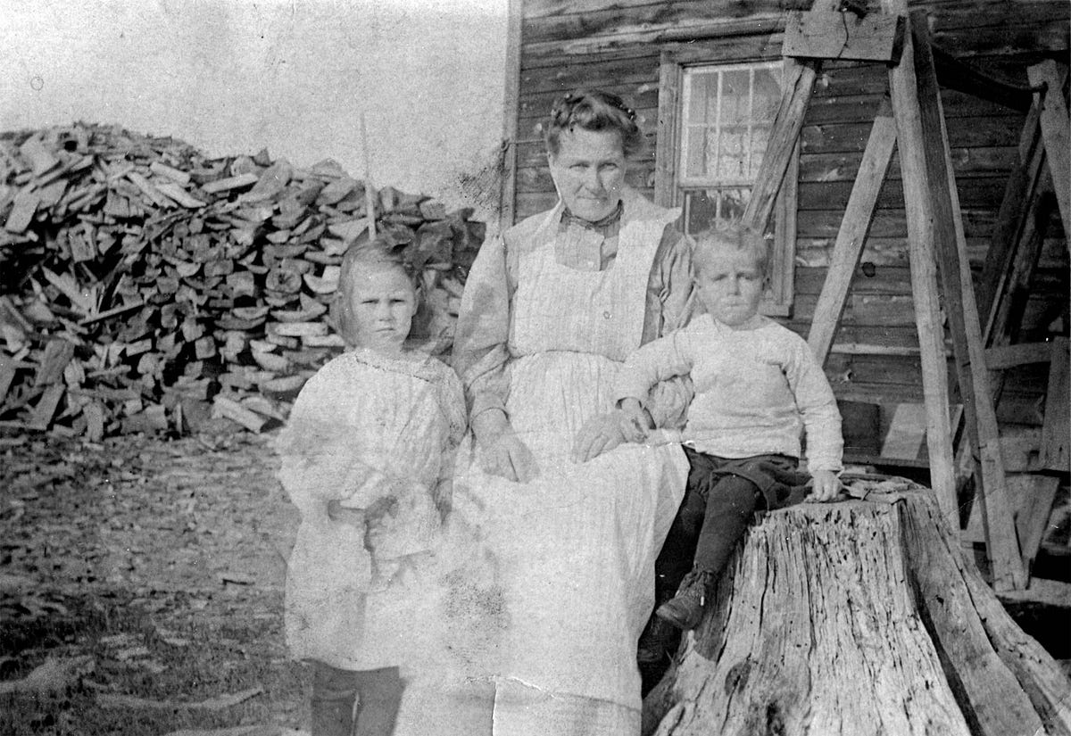 Did Scandinavian emigration laid the seeds of the Nordic model? | by ...