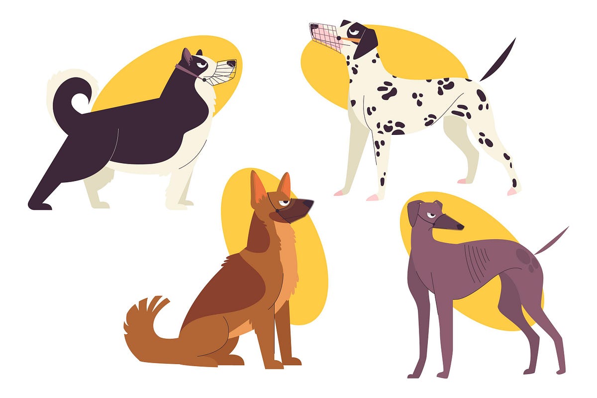 How To Draw A Dog. A quick guide to sketching out man’s… | by Jamie ...