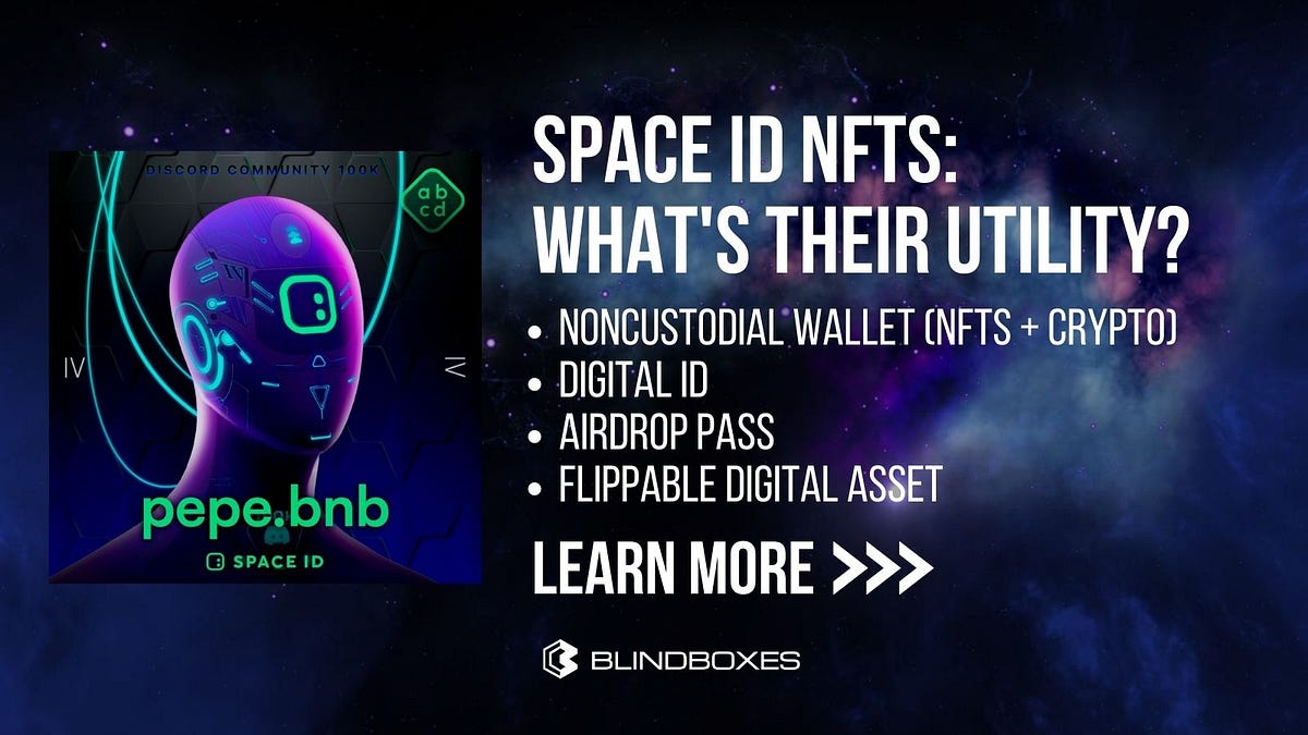 SPACE ID NFTs: What’sTheir Utility? | by Blind Boxes | Blind Boxes ...