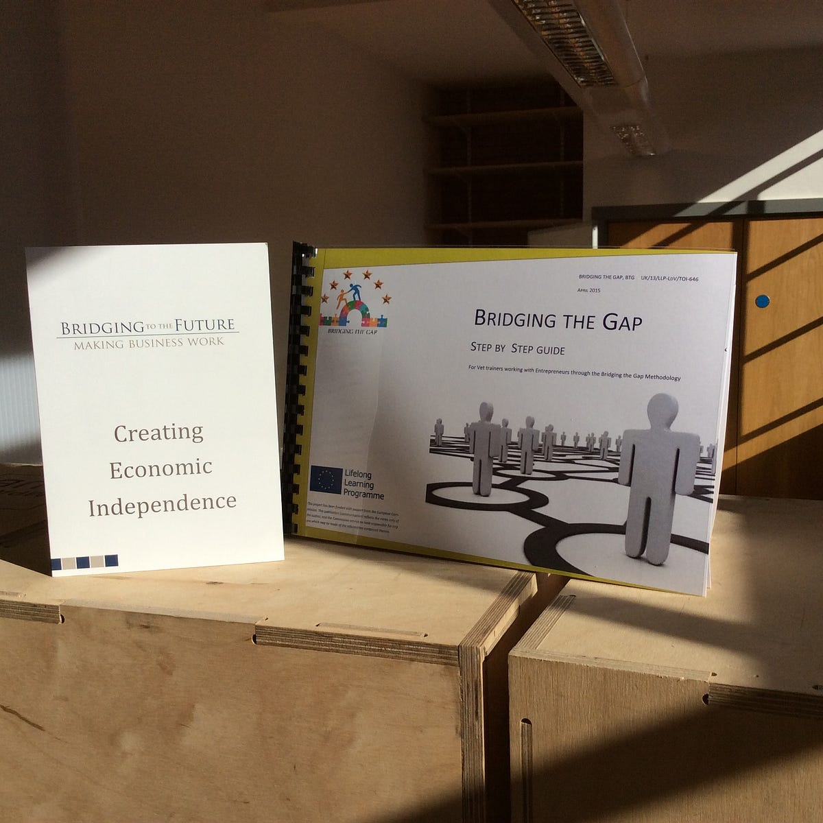 Bridging The Gap — Two Years Developing Methods of Job Creation in The ...