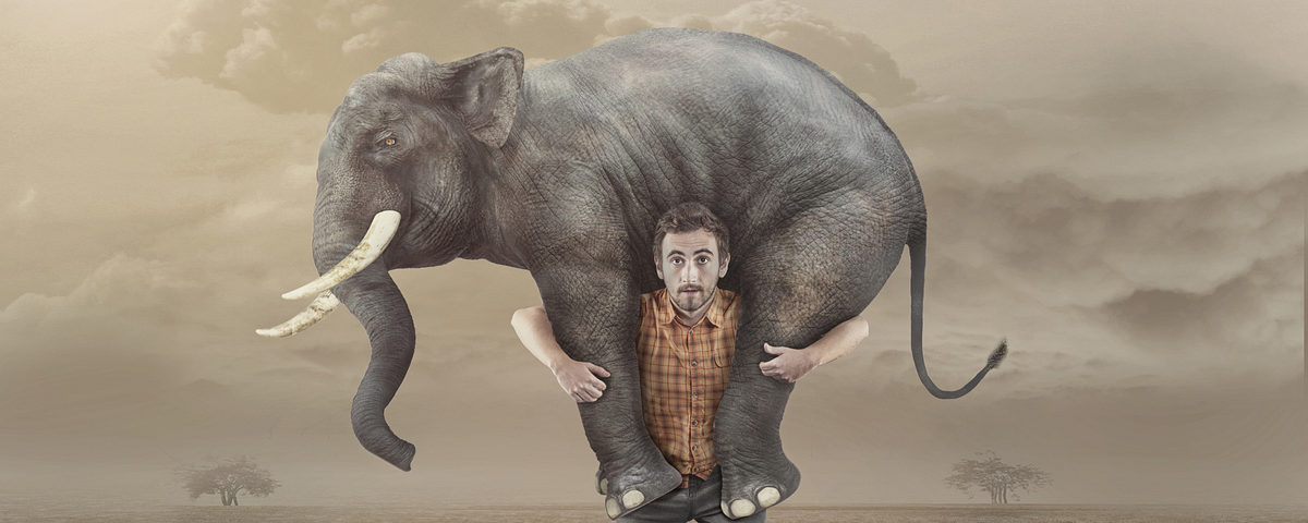 What Do Human-Animal Relationships in Literature Say About Us? | by ...