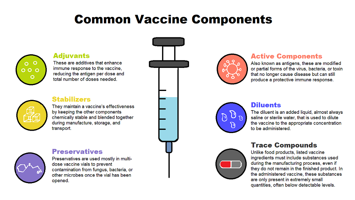 What goes into a vaccine?. A simple breakdown of vaccine… | by ...