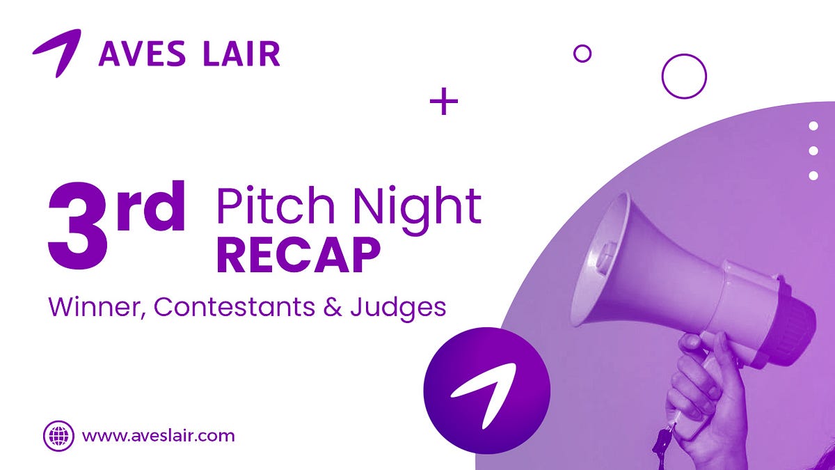 A Recap of the Third Pitch Night Organized by AvesLair | by Aves Lair ...