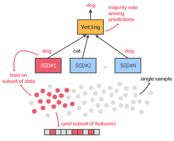 Dogs Breeds Classification with Keras | by Ilia Zaitsev | Medium