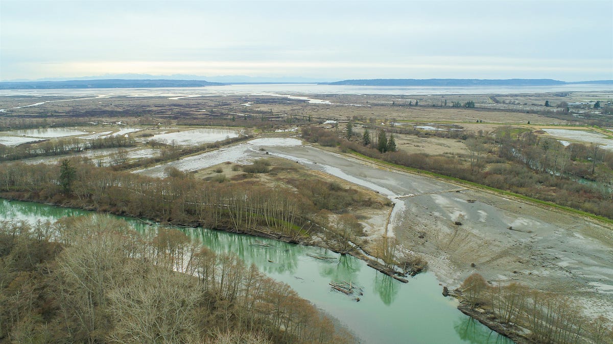 A glimpse into the proposed projects to restore Puget Sound shoreline ...