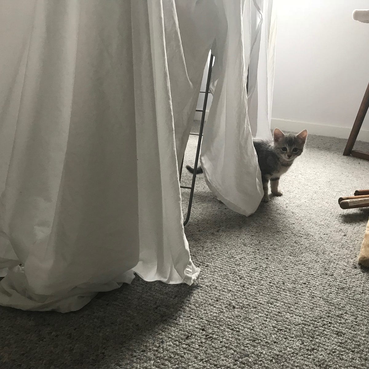 Ruby vs Javascript: Which do you prefer? | by King Nimmo | Medium