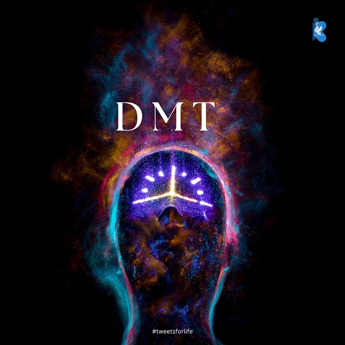 Everything You Need to Know About DMT, the ‘Spirit Molecule’ | by 🔴Tamal Roy💚 Blazing poetry of ...