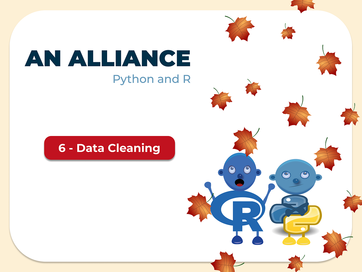 An Alliance: Python and R (Data Cleaning) | by Vanessa Ongodi Onyema ...