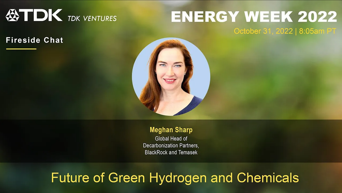 Holistic Solutions Required for Net-Zero Carbon | by Nicolas Sauvage | TDK Ventures | Nov, 2022 ...