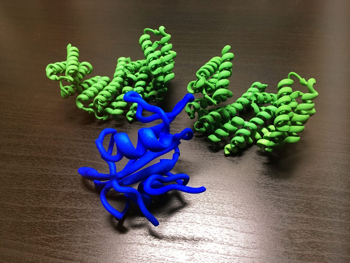 3D printing protein models made simple | by Fábio Madeira | Medium