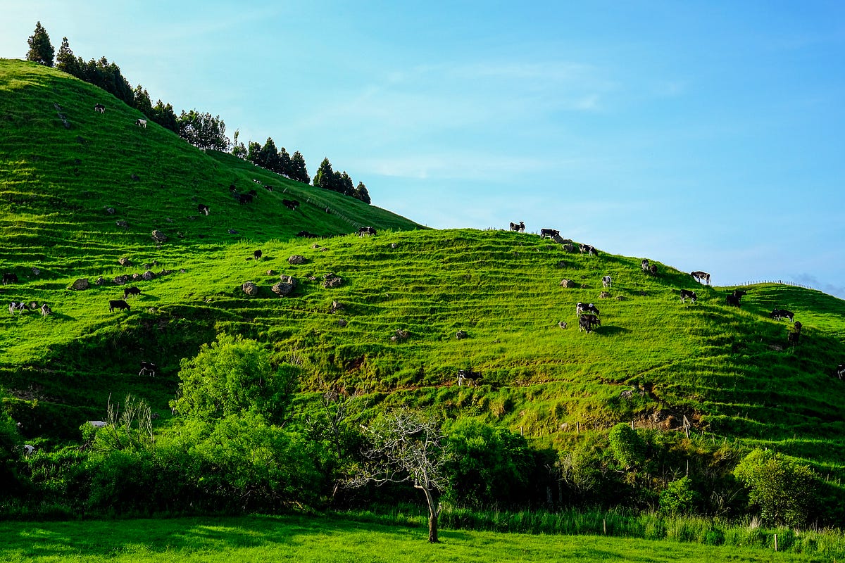 Stories on the Edge of Education Week | by Alyson Whatcott | Medium