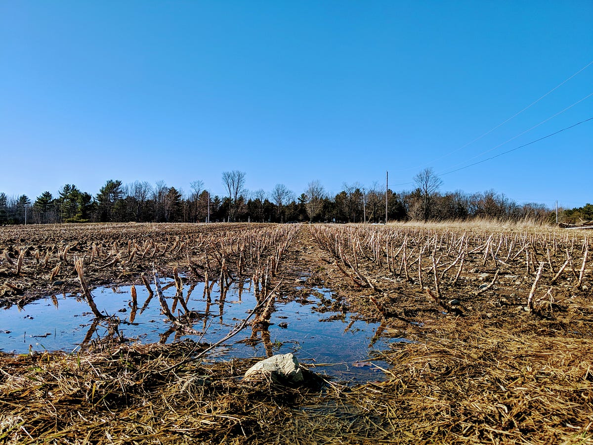 The Matter of Mud. Maine agriculture faces new growth in… | by Michelle ...
