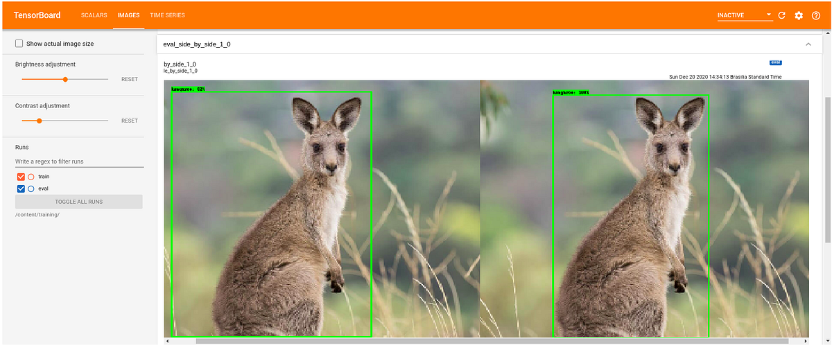 Custom Real Time Object Detection In The Browser Using Tensorflow Js