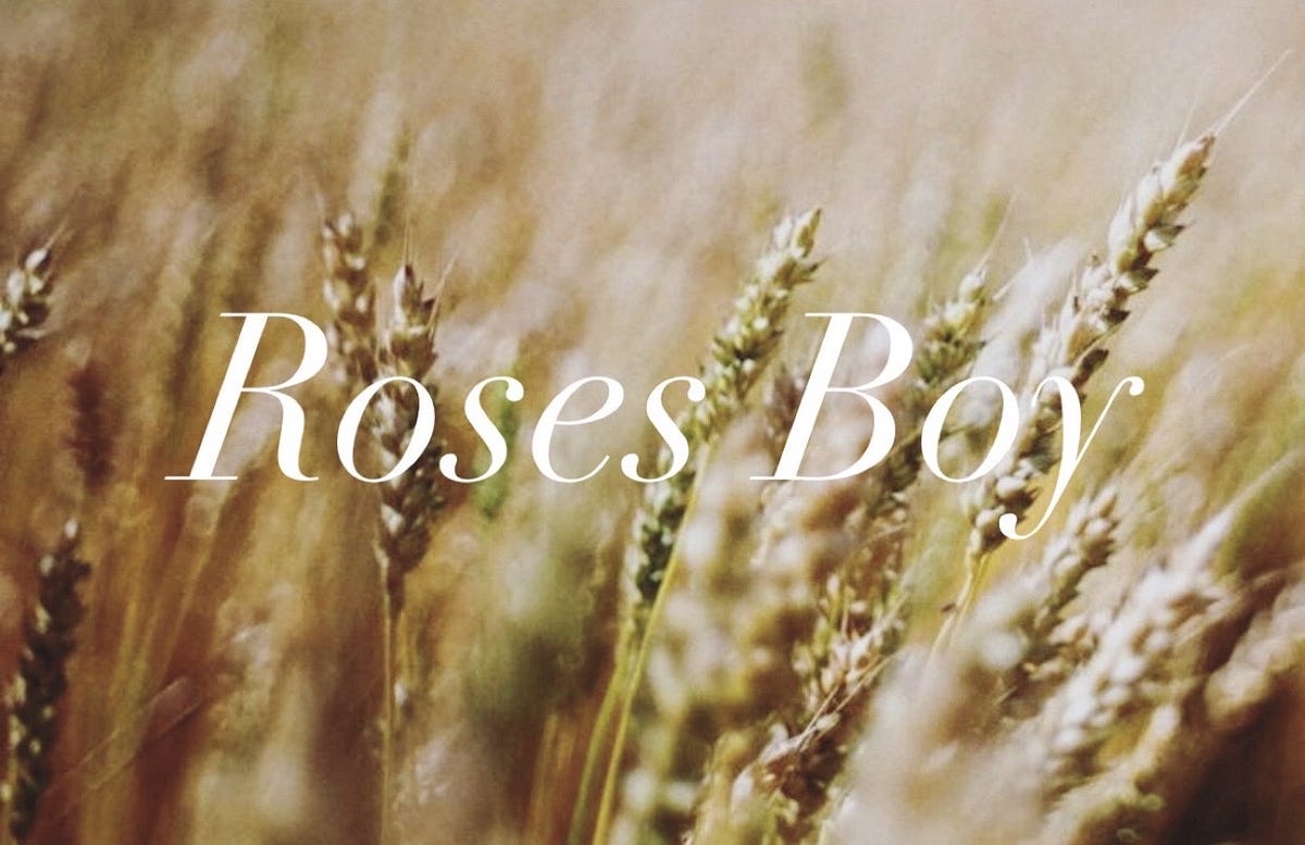Roses Boy — ch1. Rose was a classically featured woman… | by Abby Ford ...
