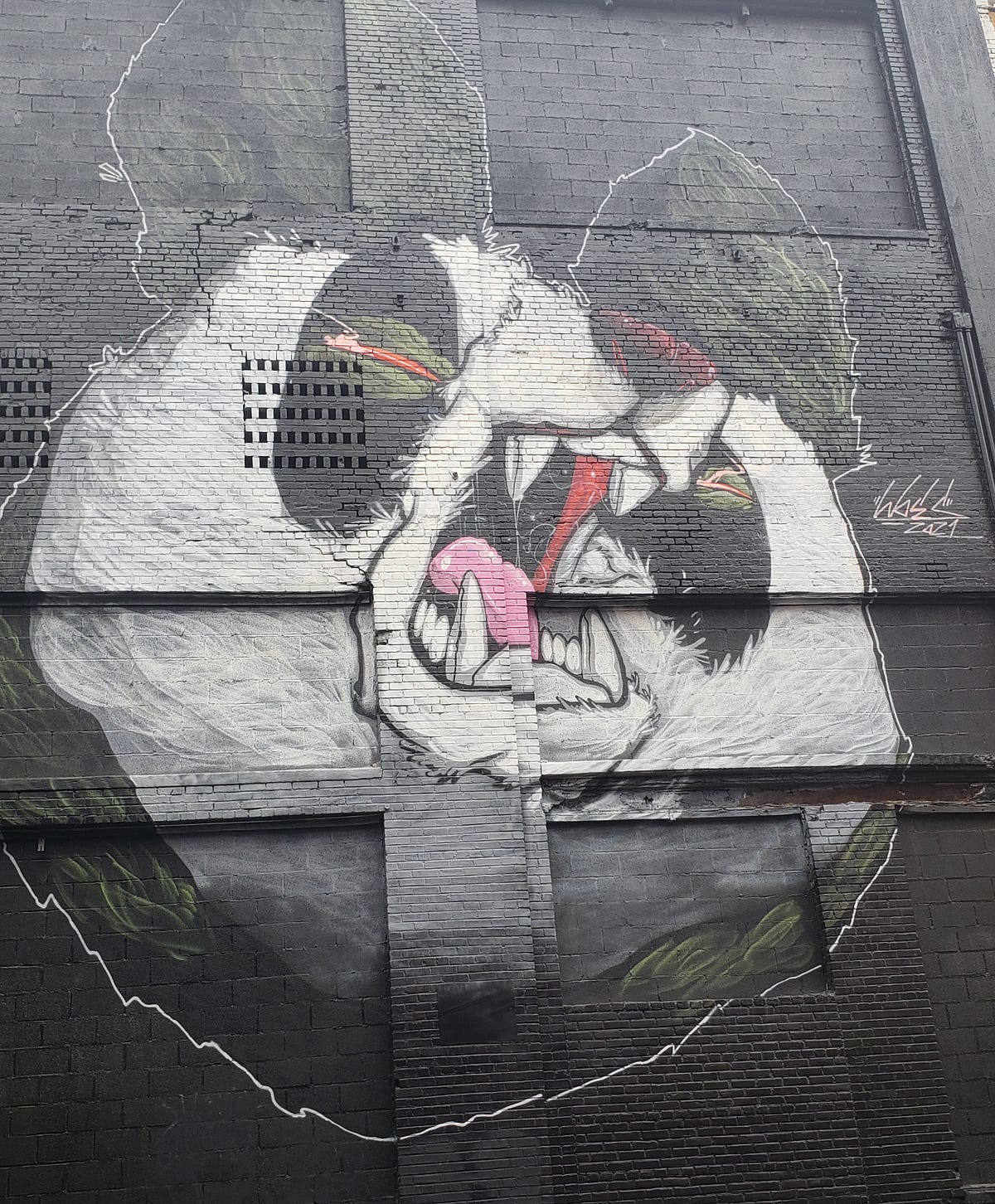 Jersey City & The Art Below. Showcasing Graffiti Savants | by Gabriel ...