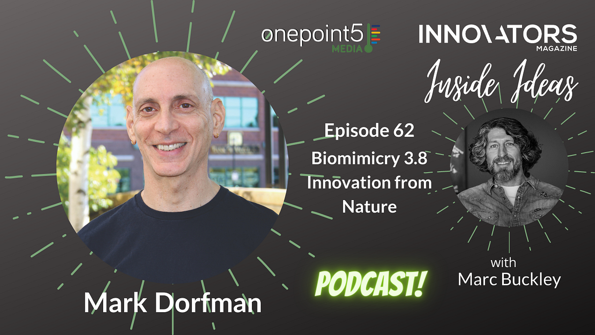 Mark Dorfman on Inside Ideas. Why we need to mimic nature | by Marc ...