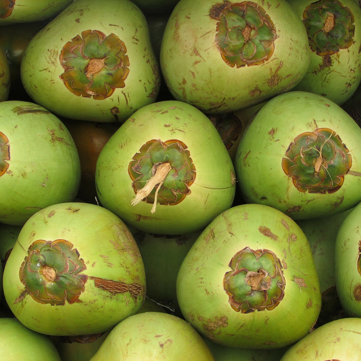 Trying tropical fruits in Hainan - Can Speak English - Medium