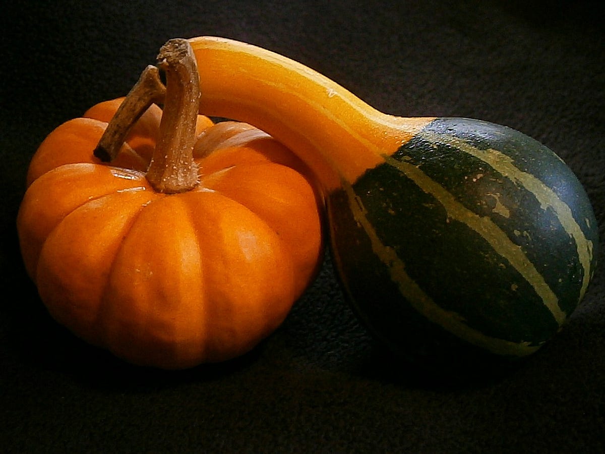 On the Origin of the Dark Gourd by Supernatural Selection | by Caroline ...