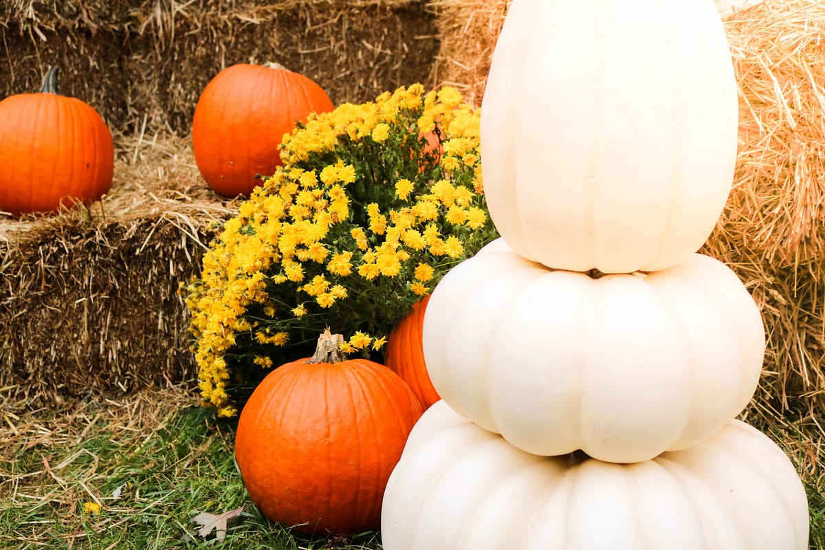 Festivities of Fall: The Season You’ve Been Waiting For | by Chloe ...