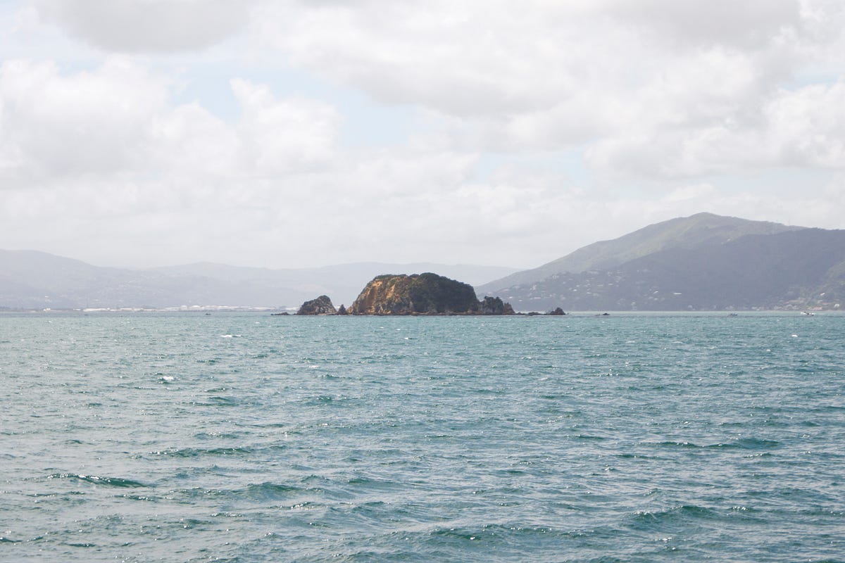 Matiu / Somes Island. Matiu or Somes Island is a 62 acre… | by Francine ...