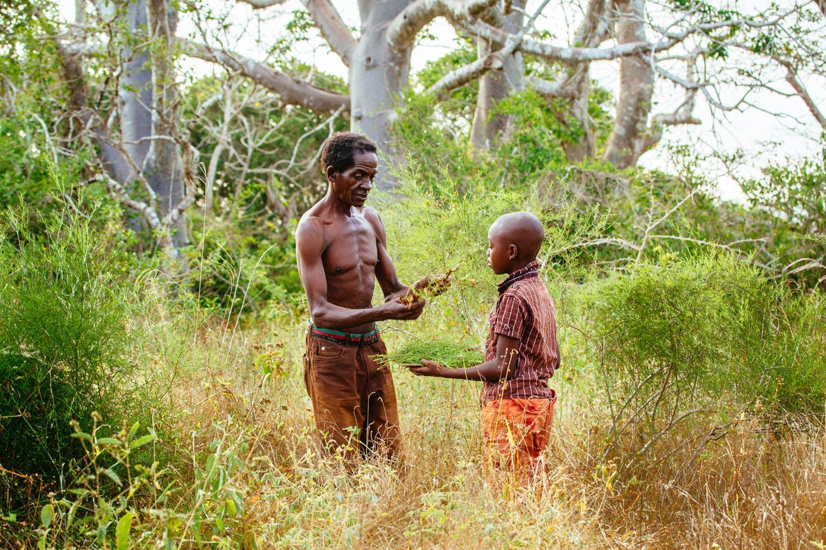 Recognizing and valuing multiple ways of knowing, being, and acting can ...