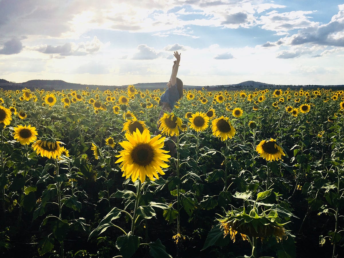 How to Keep Your Composure While the World Falls Apart | by Sunny Jae🌻 ...