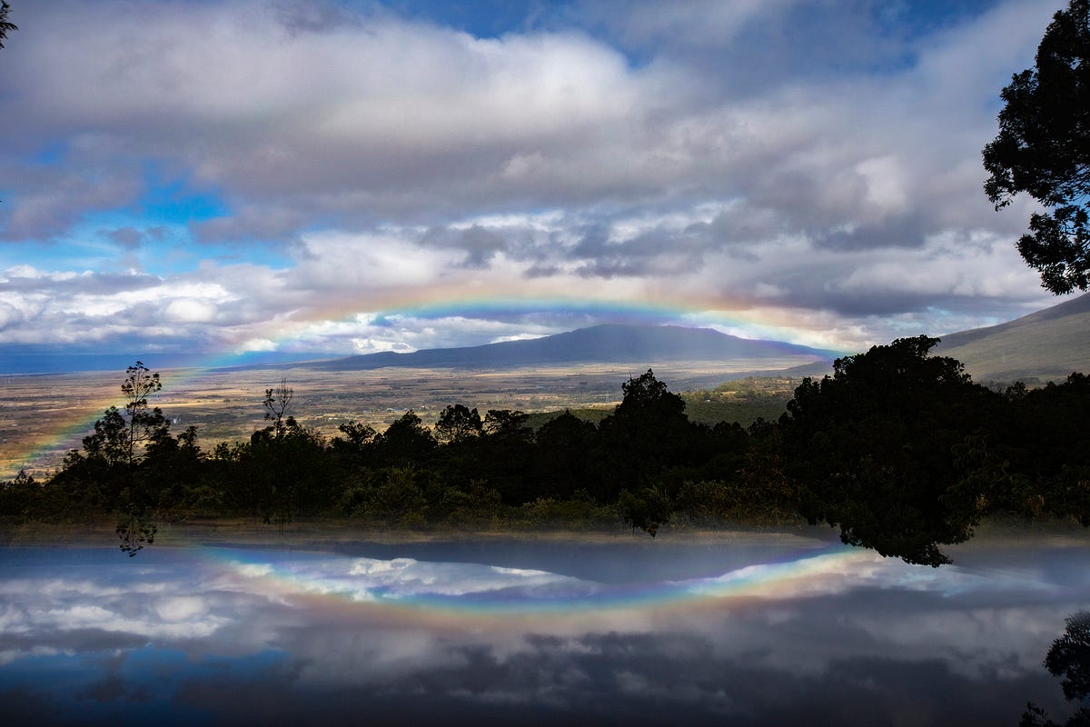 The Joy Paradox. Joy is like the wind, a force that can… | by David S ...