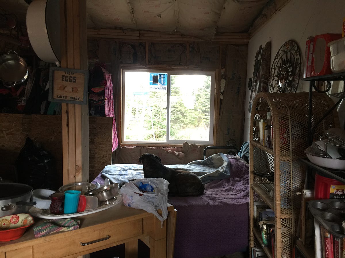 Today my cabin is one step closer to being done. | by Georgia Mrkvicka ...