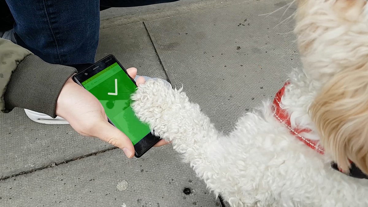 Woof! Event ticketing for dogs is finally here | by Ticket Tailor | Medium