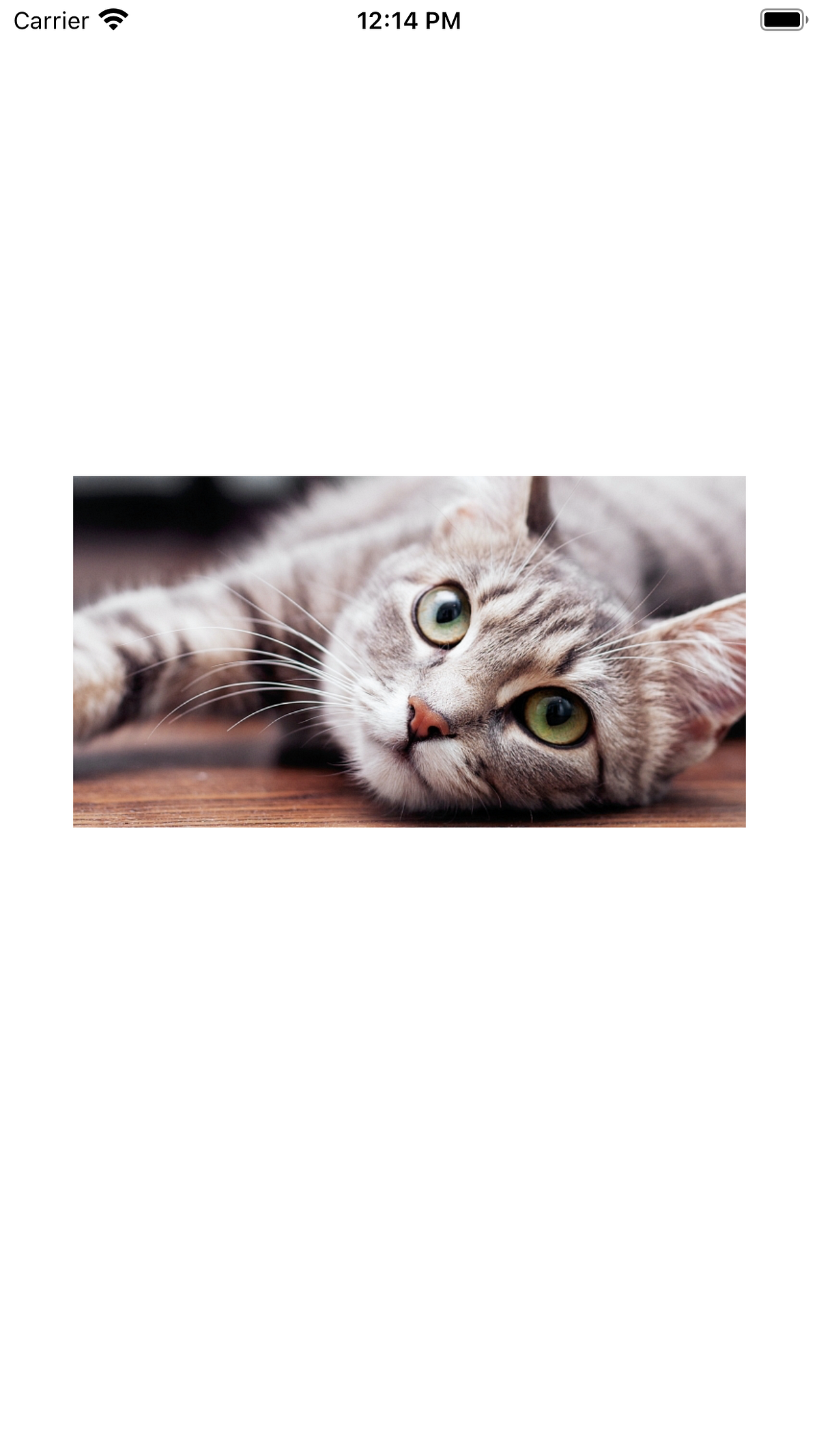 #7研究 UIImageView 的 Content Mode - 彼得潘的 Swift iOS App 開發教室 - Medium