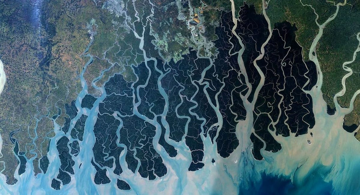 Deep Ecology. Excerpt from the Worldview Dimension of… | by Daniel ...