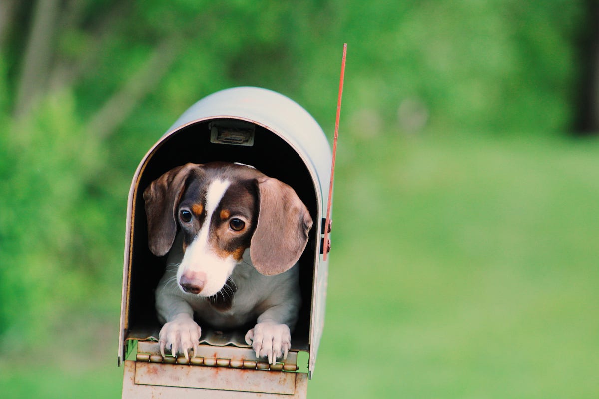 Send Email In React Without SMTP Server By Lasha Kakabadze Medium send-email-in-react-without-smtp-server-by-lasha-kakabadze-medium