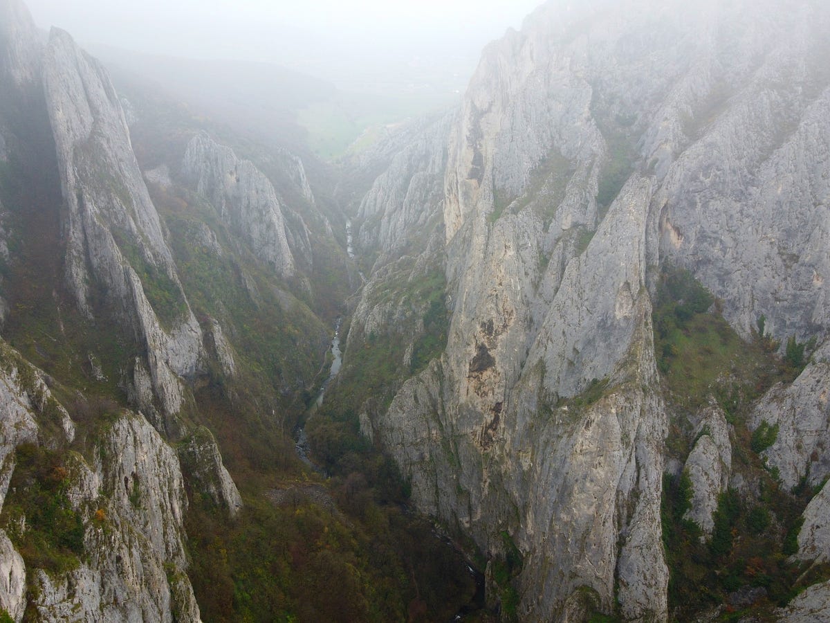 Wild and Free — Untamed Romania. Where you’re more likely to meet a ...