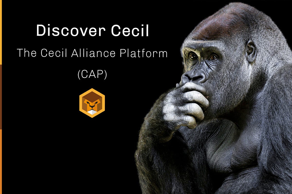 Discover Cecil - Part 3: The Cecil Alliance Platform (CAP) | by Cecil ...
