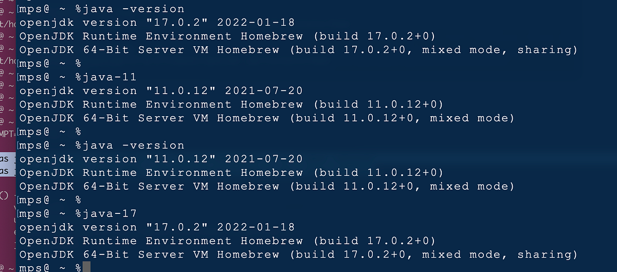 Installing & switching between multiple JDK on macOS | by Manvendra P ...