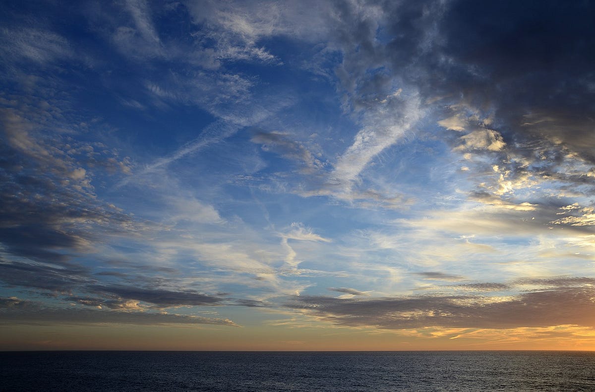 Wide Open Sky. A few years ago I stumbled onto a… | by Shelley Souza ...