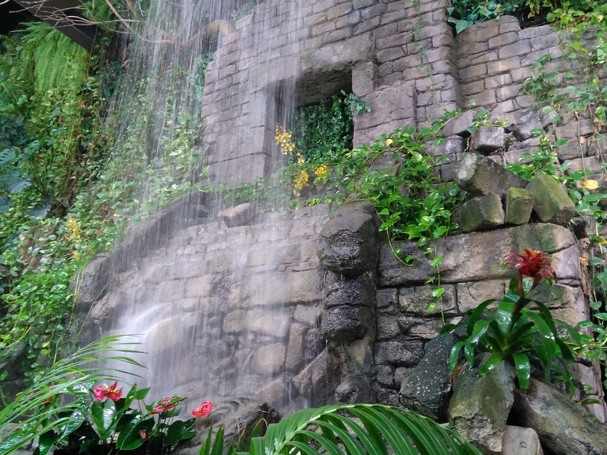 The RainForest at the Cleveland Zoo | by Rachel P. | Medium