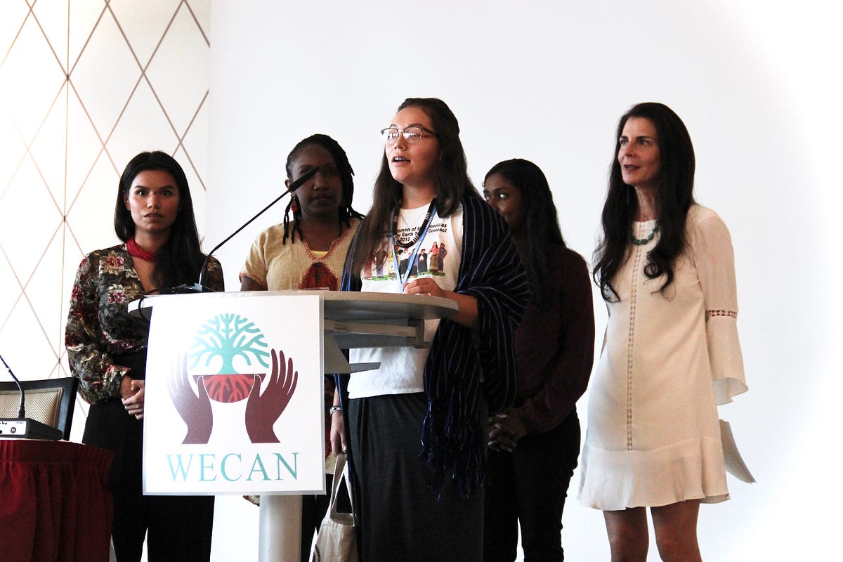 Climate Solutions: The Importance of Feminine Energy and Disrupting ...