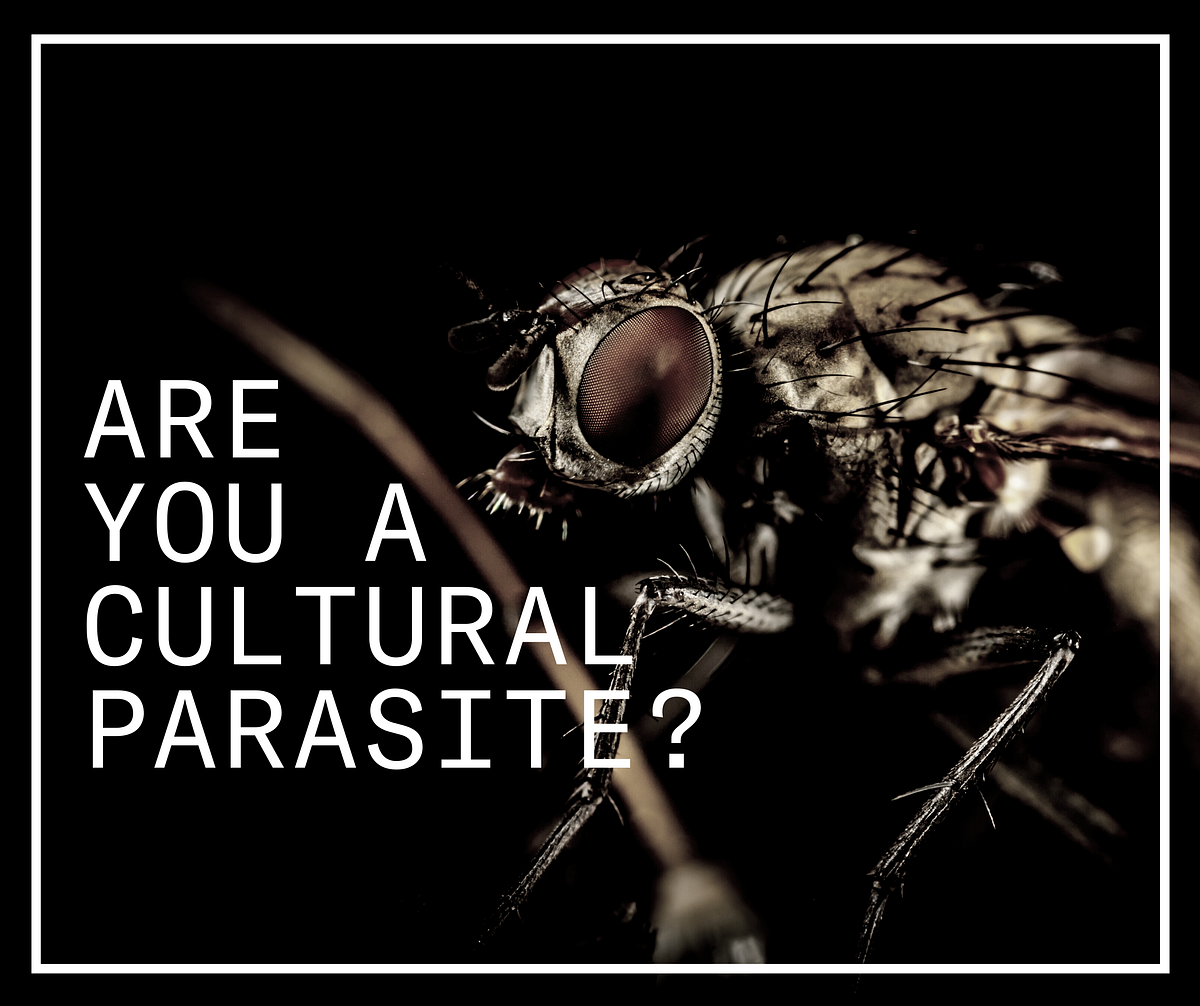 Are you a cultural parasite?. Are you just taking advantage of the ...