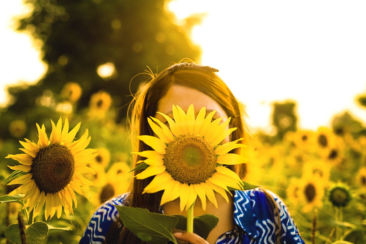 Sunflower Fields. a poem | by Lucy Dan 蛋小姐 (she/her/她) | The Brain is a ...