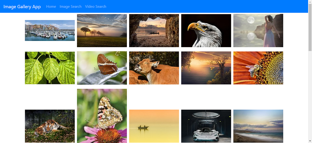 How To Create An Image Gallery App With React By John Au Yeung Dataseries Medium