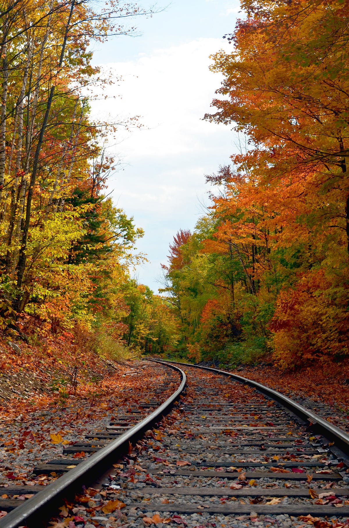 Fall — God’s best artwork. This rock we stand on, it’s existence… | by ...