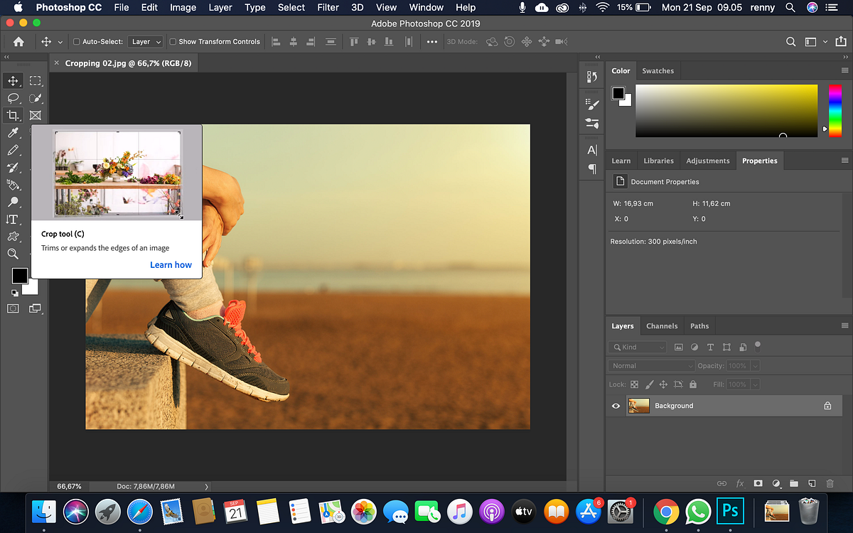 Adobe Photoshop: Cropping, Selection & Masking | by renny marcendy | Medium