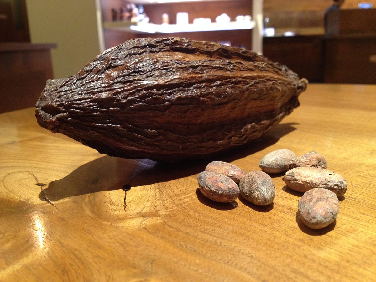 Drowning in Chocolate Before It’s Too Late | by The Unwritten Well | Medium