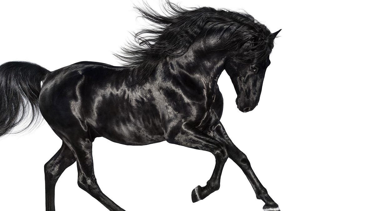 The Future of Music is Memes: “Old Town Road” Continues Record-Breaking ...