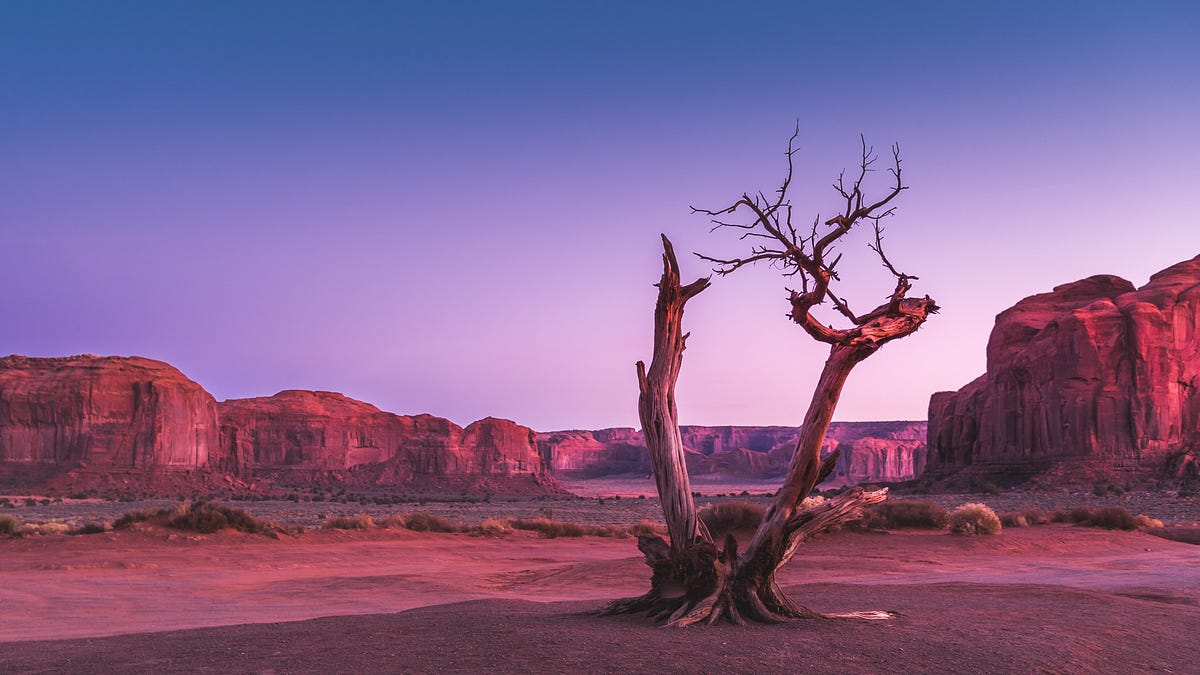 Top 5 Environmental Films of 2020 | by Sarah R. | Age of Awareness | Medium