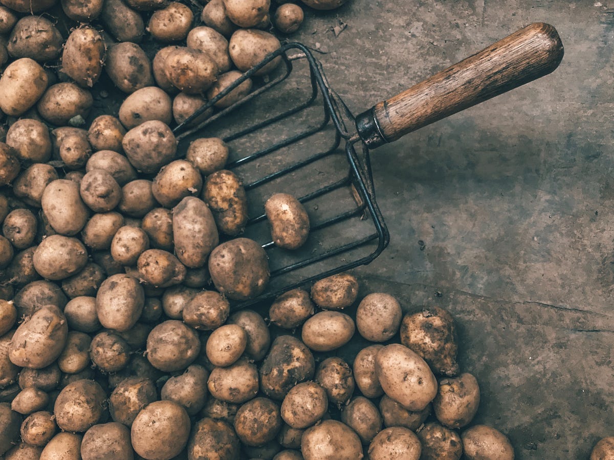 Holy potato. When I was little, we used to eat… | by Marta | 100 Words ...